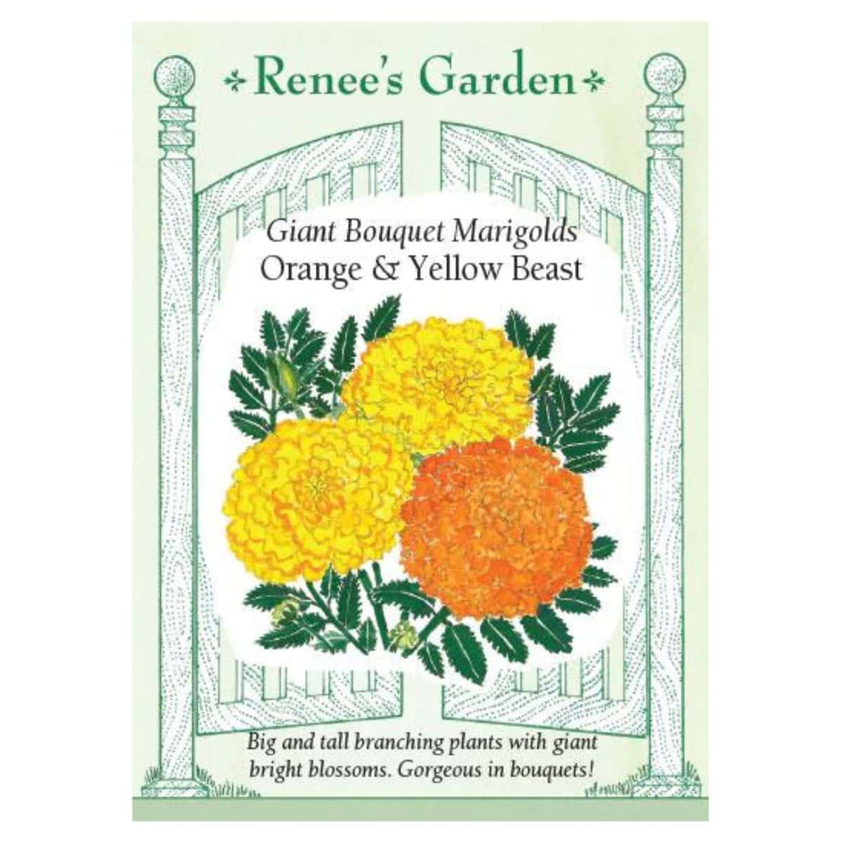 Flower Seeds, Plants, Seeds & Bulbs > Marigold, African Giant Bouquet ...