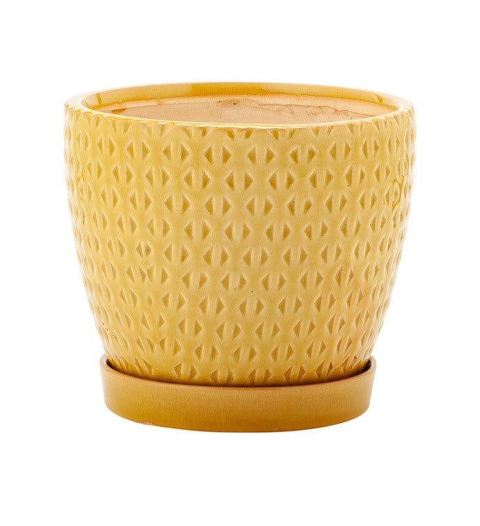 Ceramic Planters, Planters & Pottery > Yellow Weave Planter - The ...
