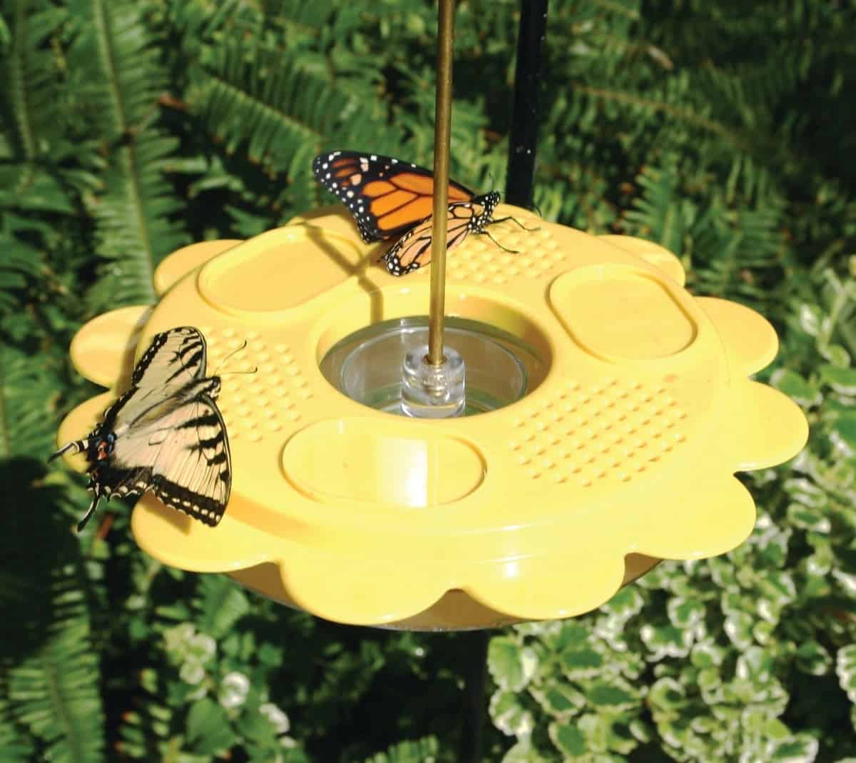 Bird Feeders, Birds & Wildlife, Butterfly Feeders > Flutterby Butterfly ...
